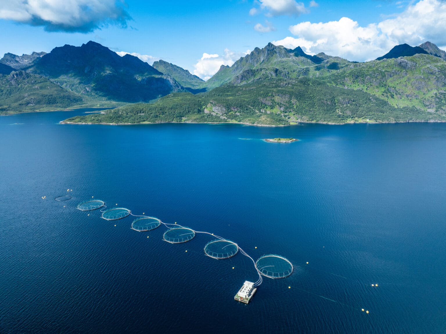 The Ocean Farm "Jostein Albert" - Nordlaks